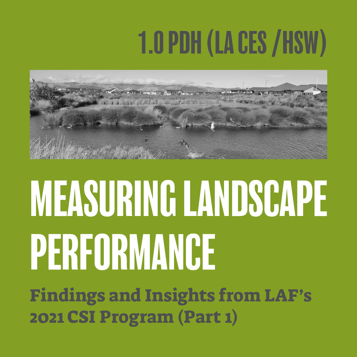 Findings & Insights from LAF's 2021 CSI Program, Part 1 | Landscape ...
