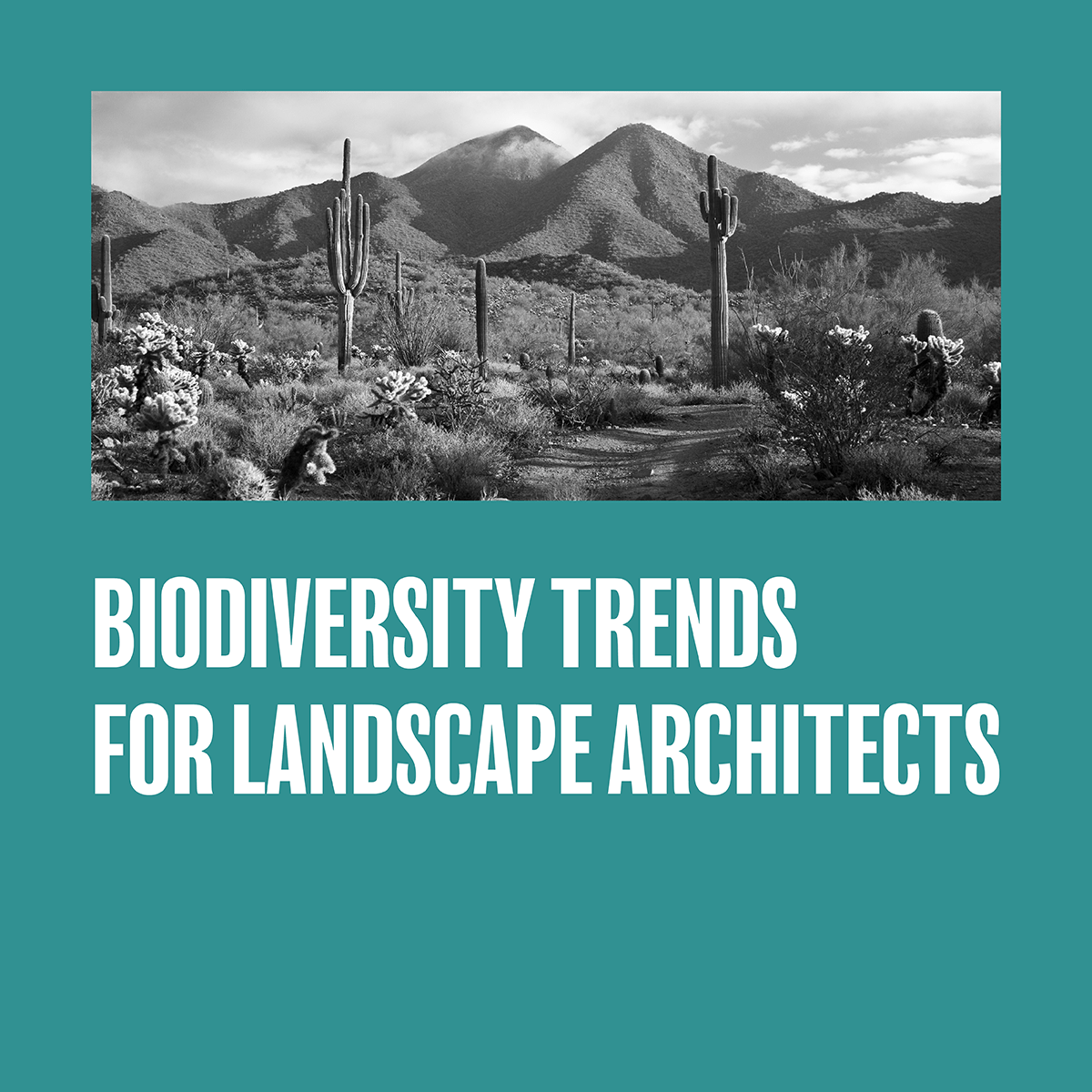 Biodiversity Trends for Landscape Architects | Landscape Architecture ...