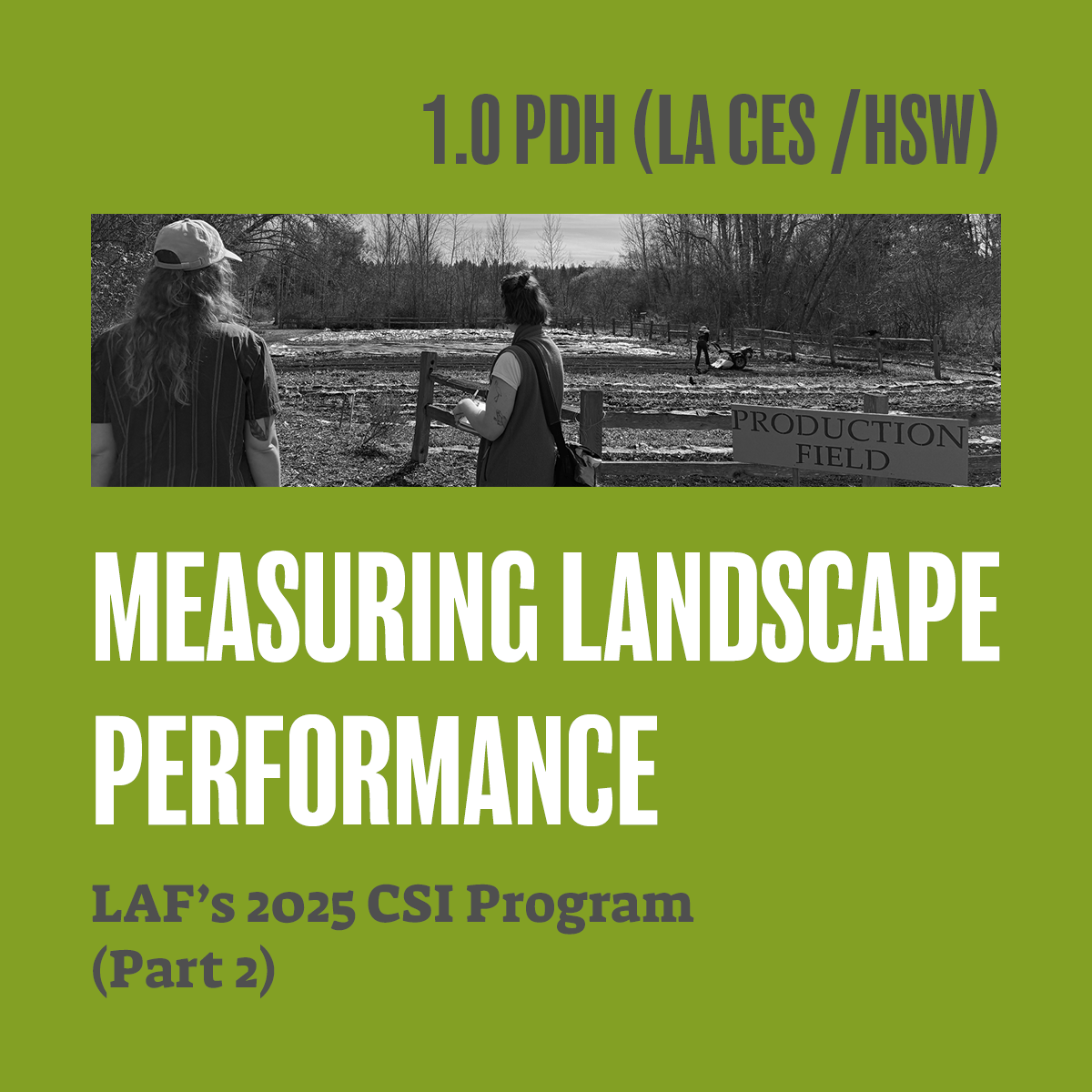 LAF's 2025 CSI Program, Part 2 | Landscape Architecture Foundation